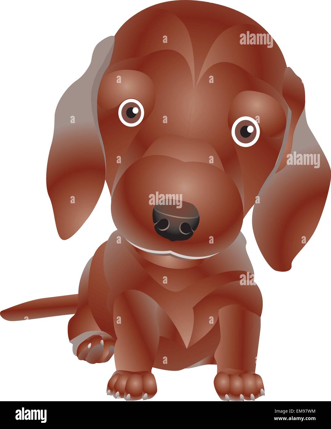 Furry dogs Stock Vector Images - Alamy