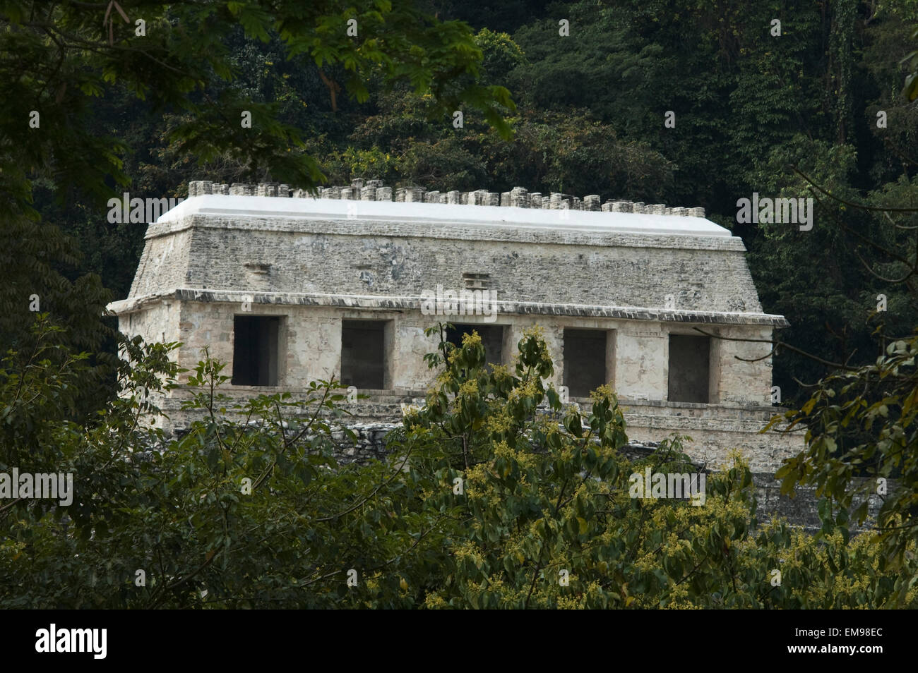 Upper Part Of The Temple Of The Inscriptions, Palenque, Chiapas, Mexico ...