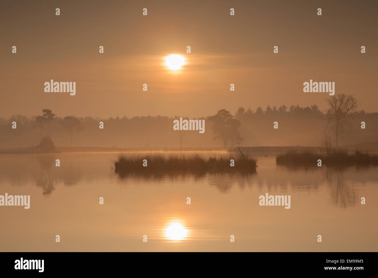 Fen landscape hi-res stock photography and images - Alamy