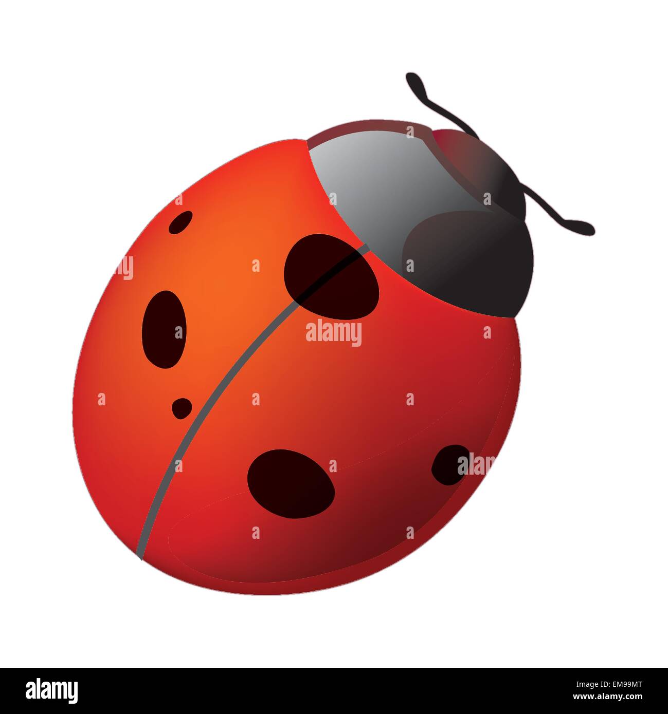 Vector ladybug, isolated on white background Stock Vector Image & Art ...