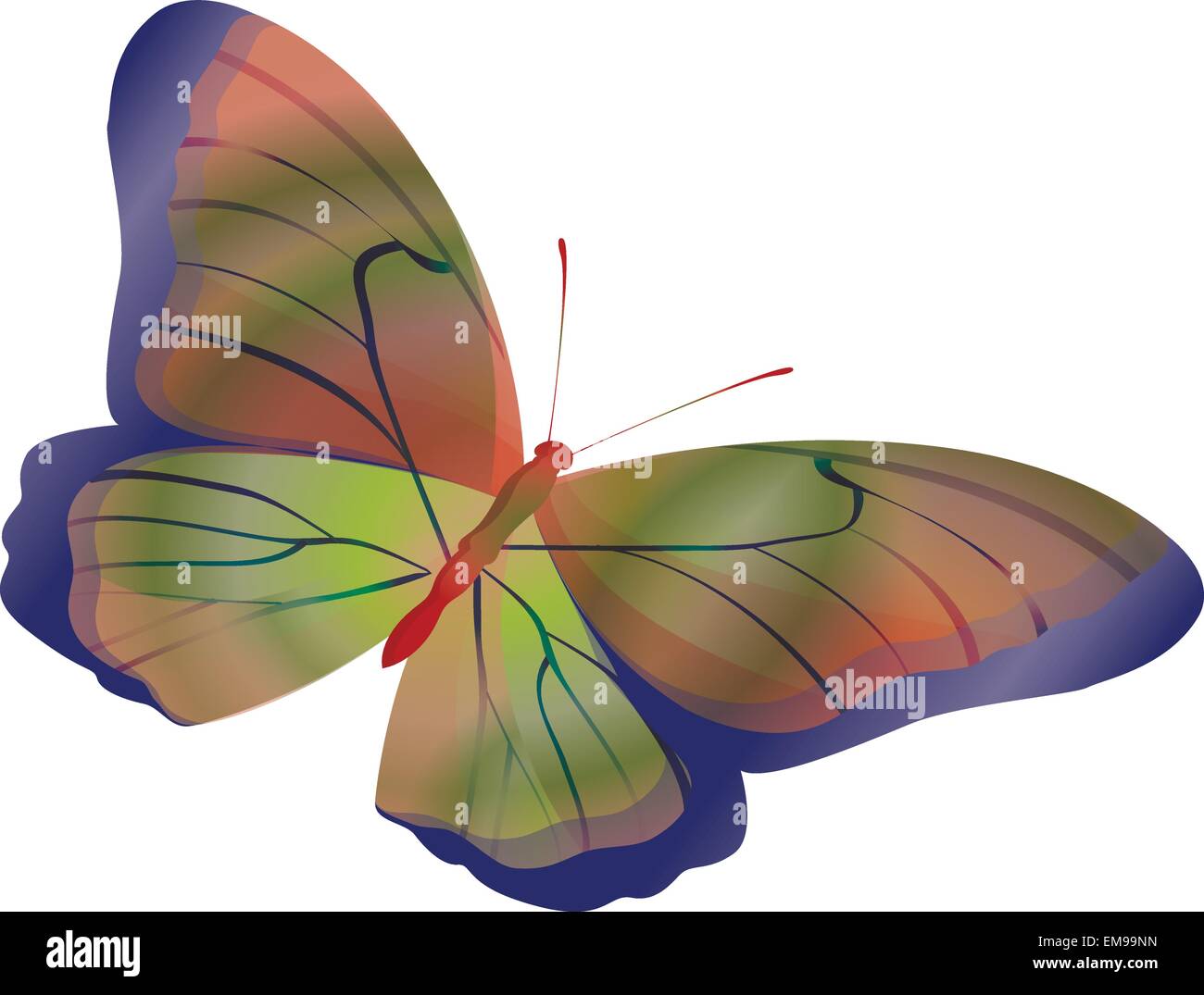 Monarch butterfly close Stock Vector Images - Alamy