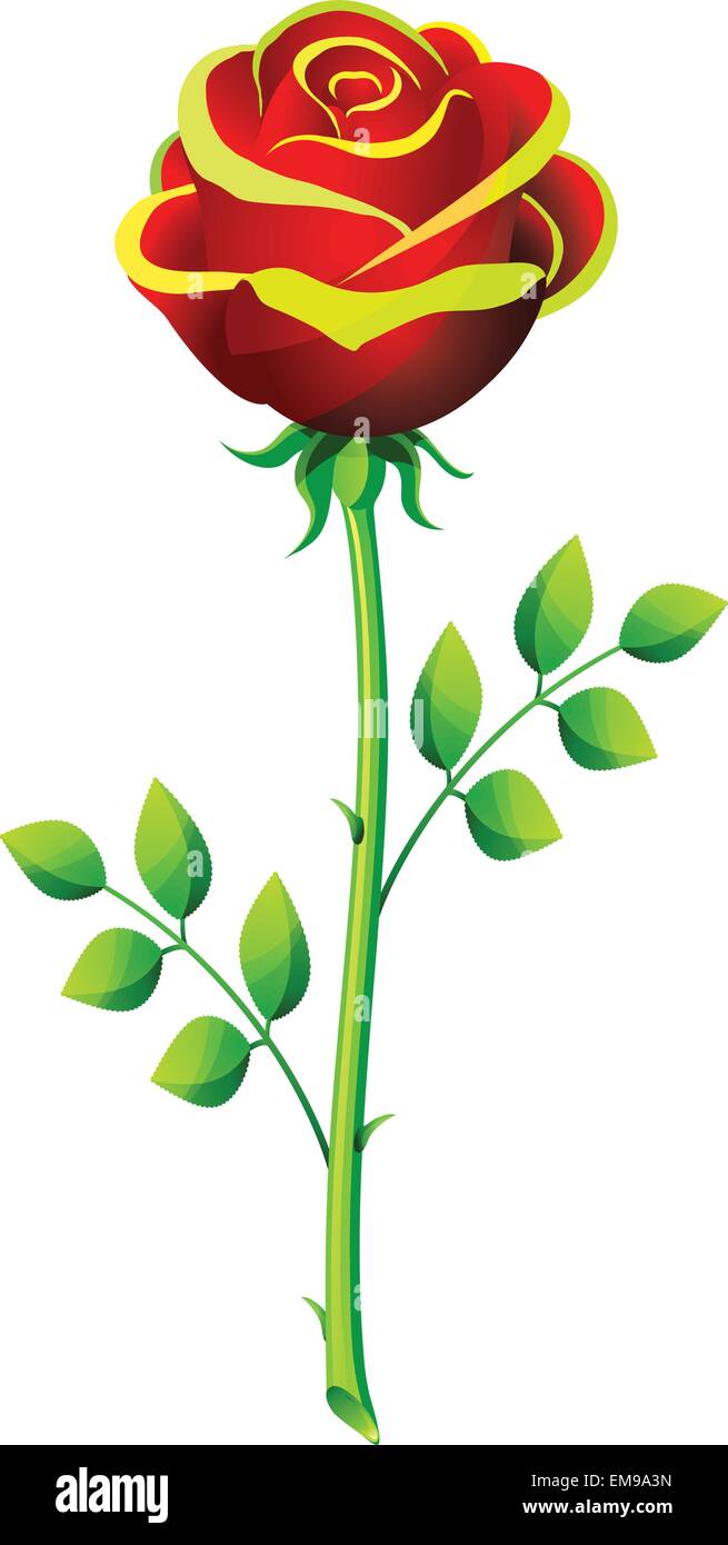 Red Rose, vector Stock Vector Image & Art - Alamy