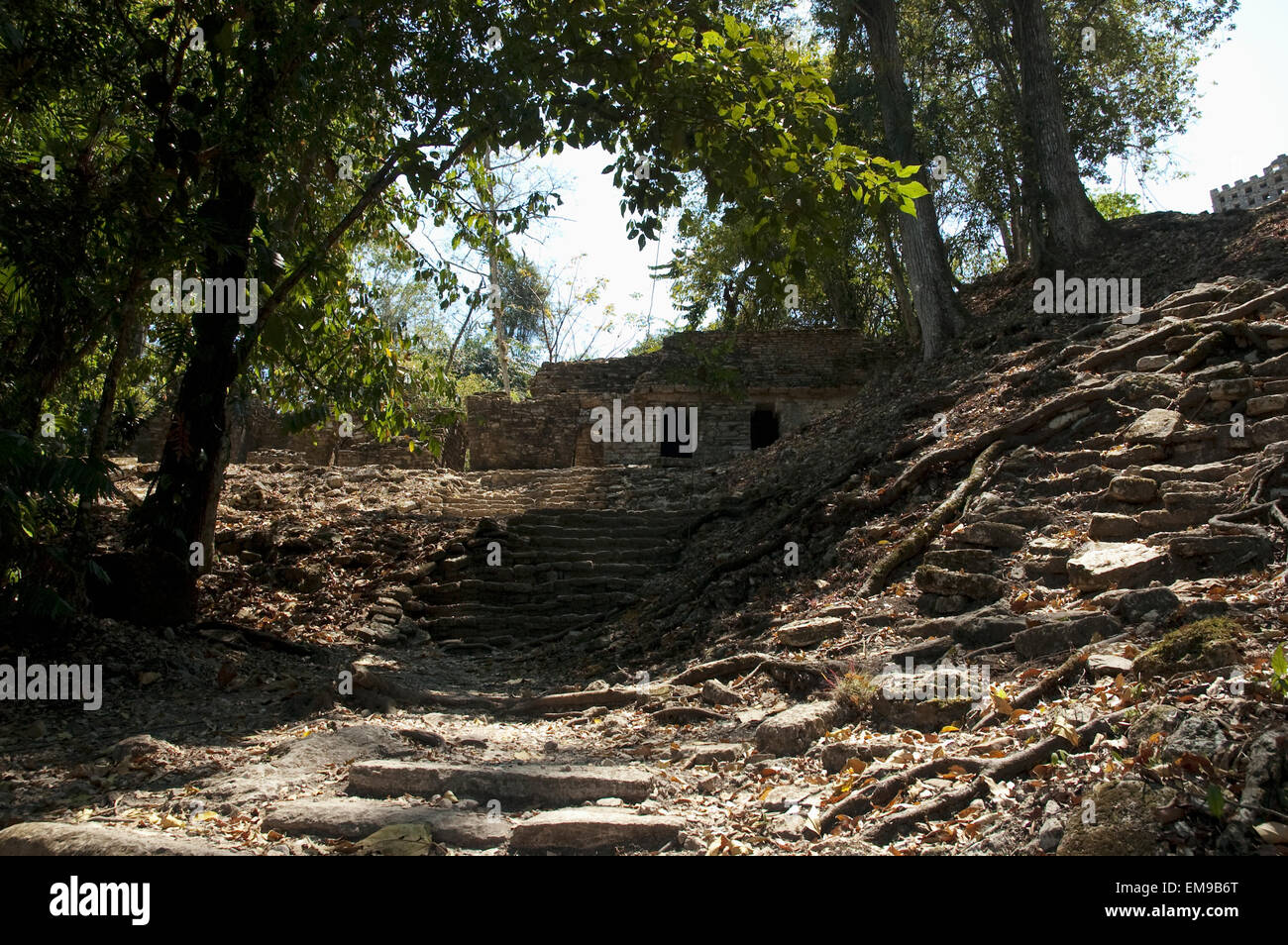 Yaxchilan structure hi-res stock photography and images - Alamy