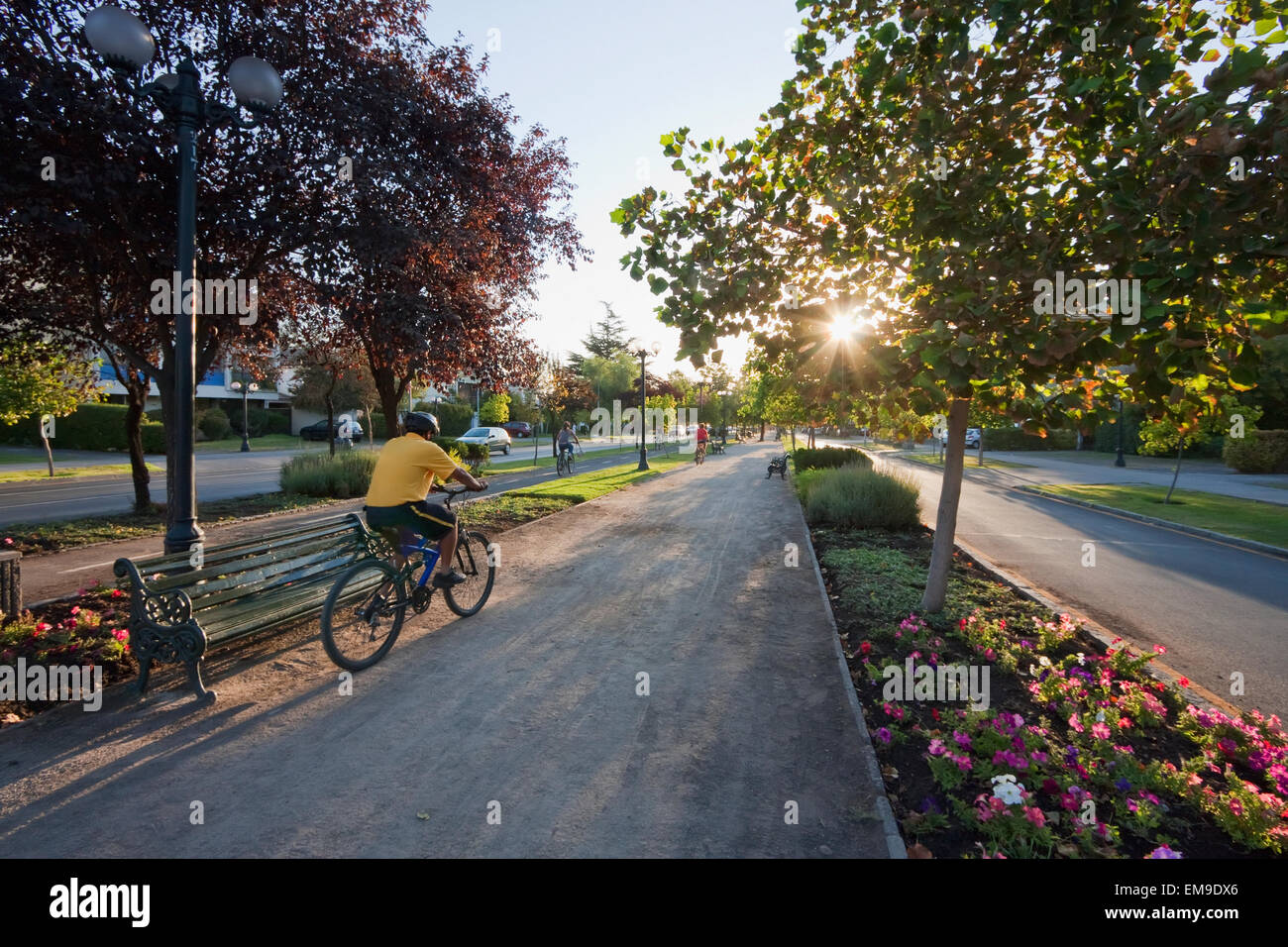 Avenida metropolitana hi-res stock photography and images - Alamy