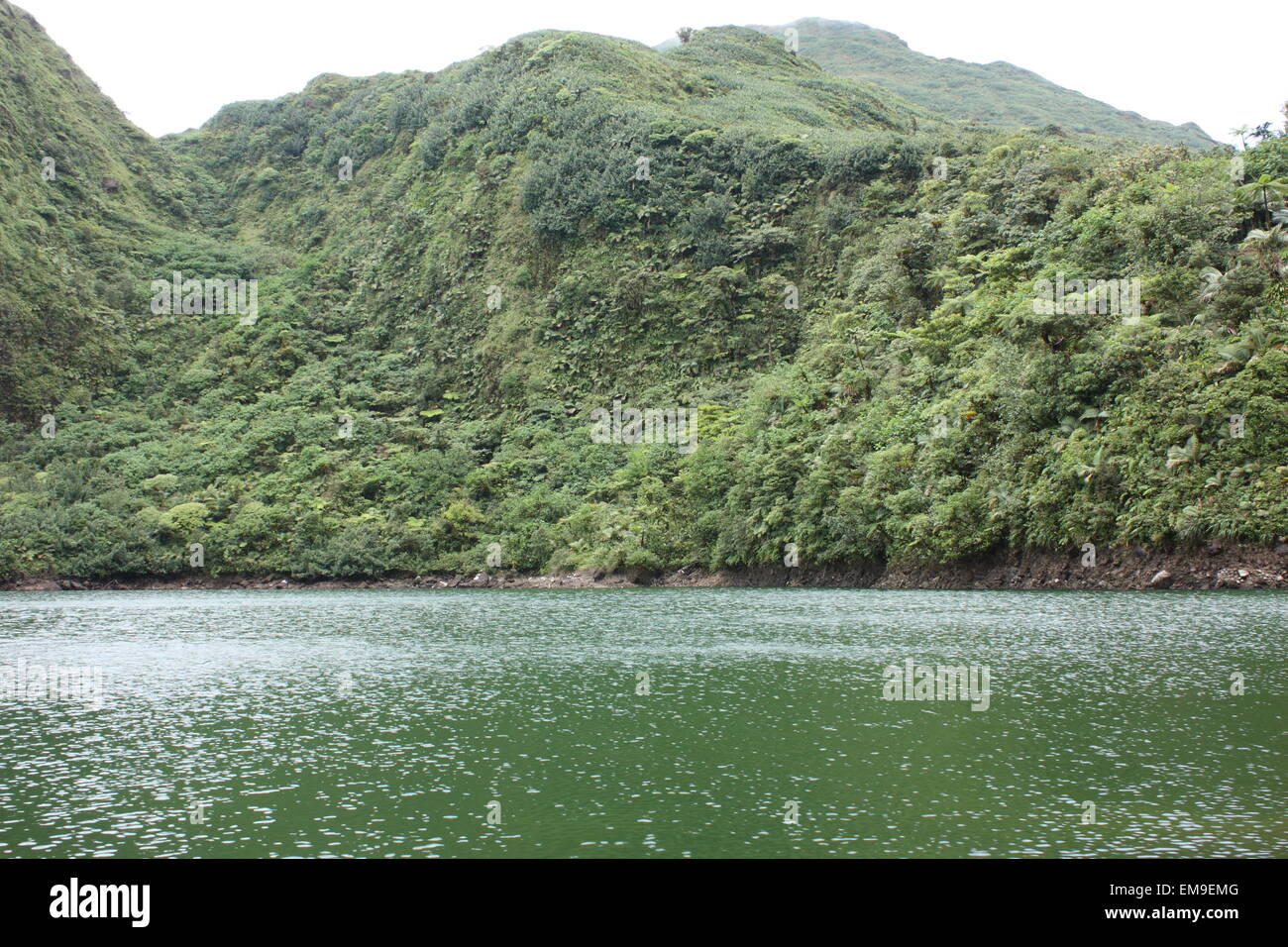 Boeri Lake in the Morne Trois Pitons National Park in Dominica Stock ...