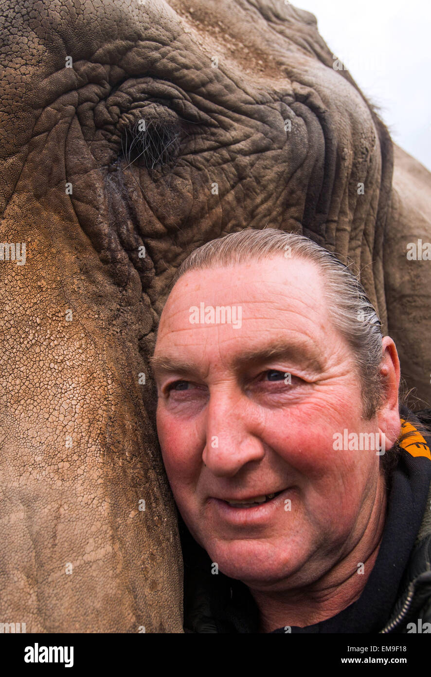 Sonni Frankello and 36-year old African elephant cow 'Sandra' on the ...