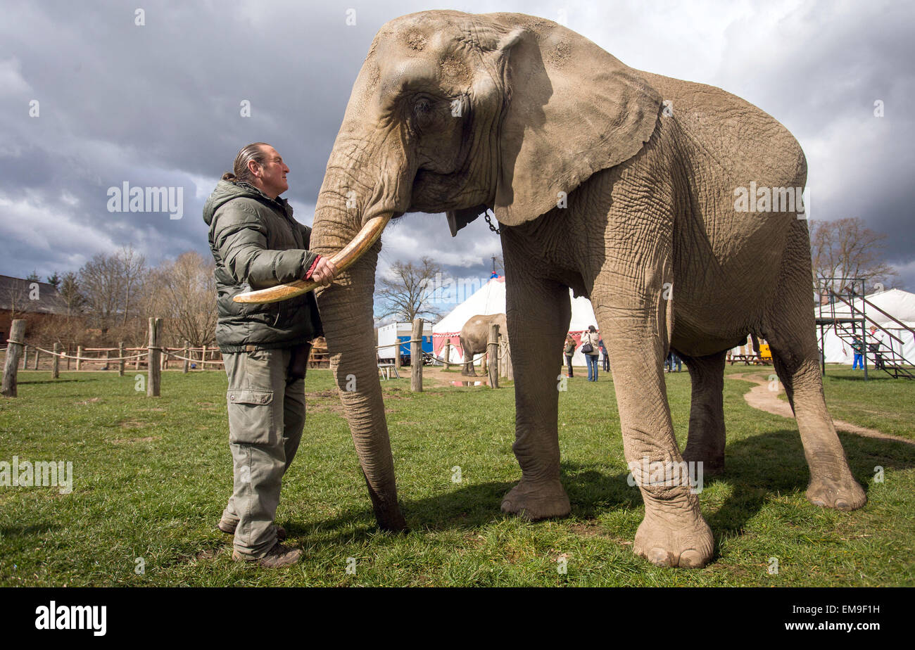 Sonni Frankello and 36-year old African elephant cow 'Sandra' on the ...