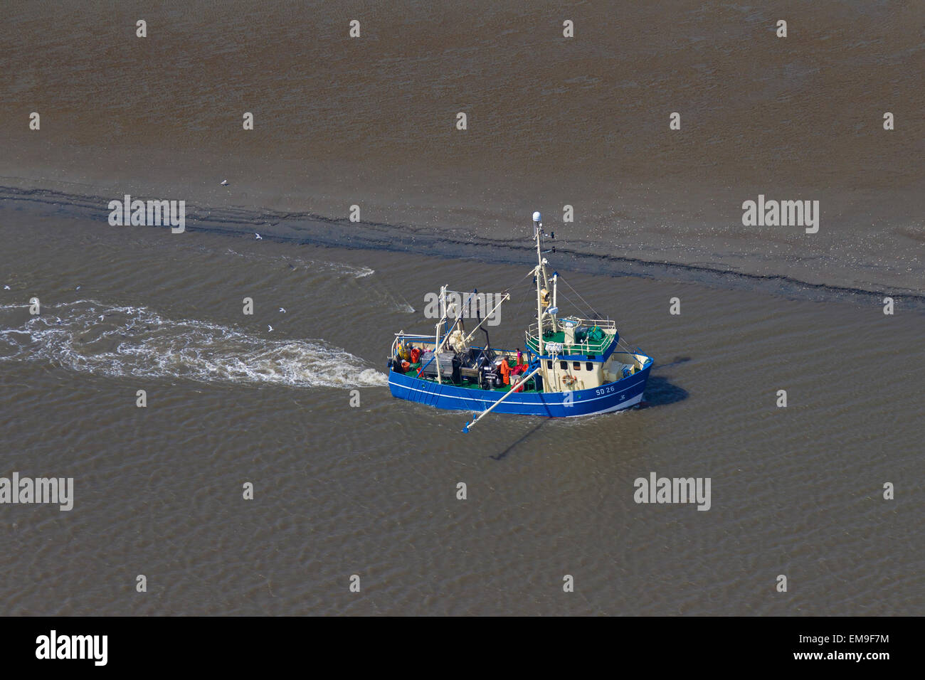 Aerial view of blue shrimp trawler boat fishing for shrimps close to ...