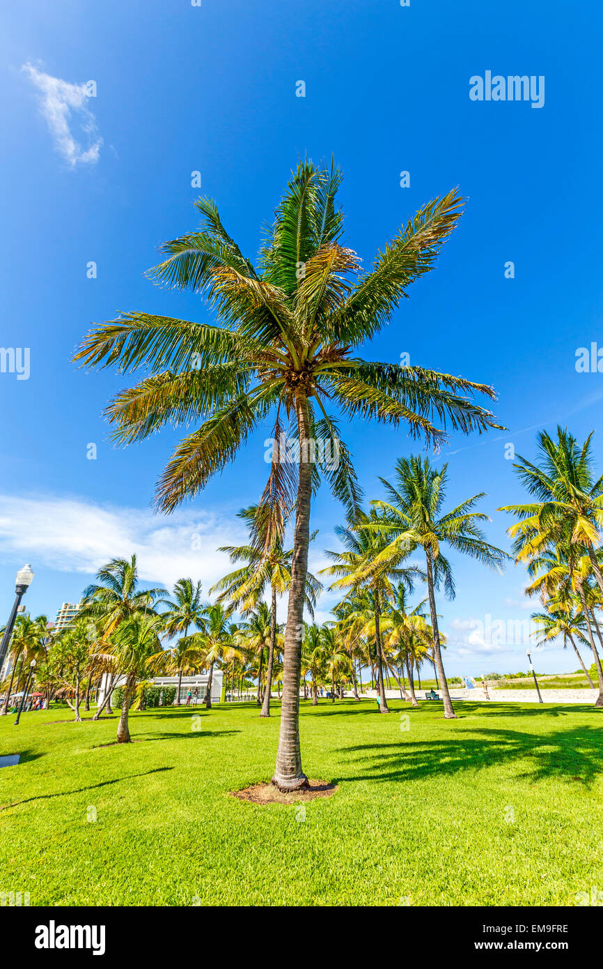 beautiful Miami Beach, popular travel destination, wide angle view with ...