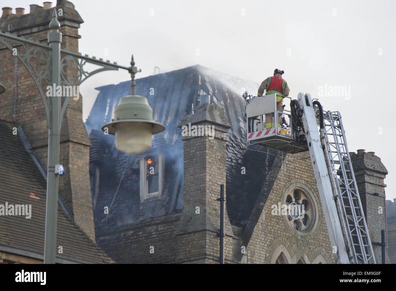 Klint janulis hi-res stock photography and images - Alamy