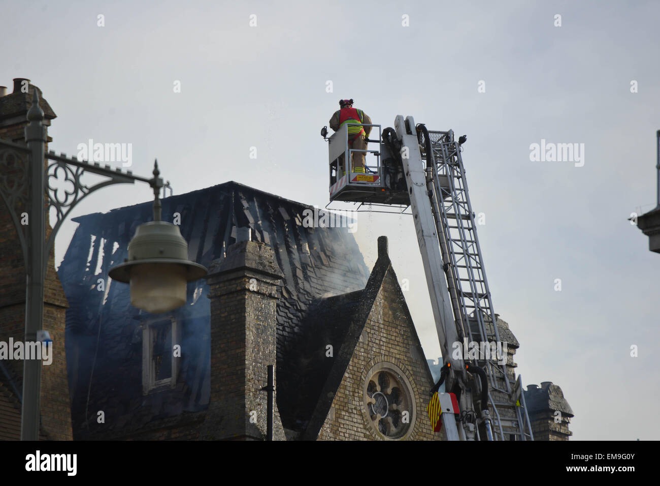 Klint janulis hi-res stock photography and images - Alamy