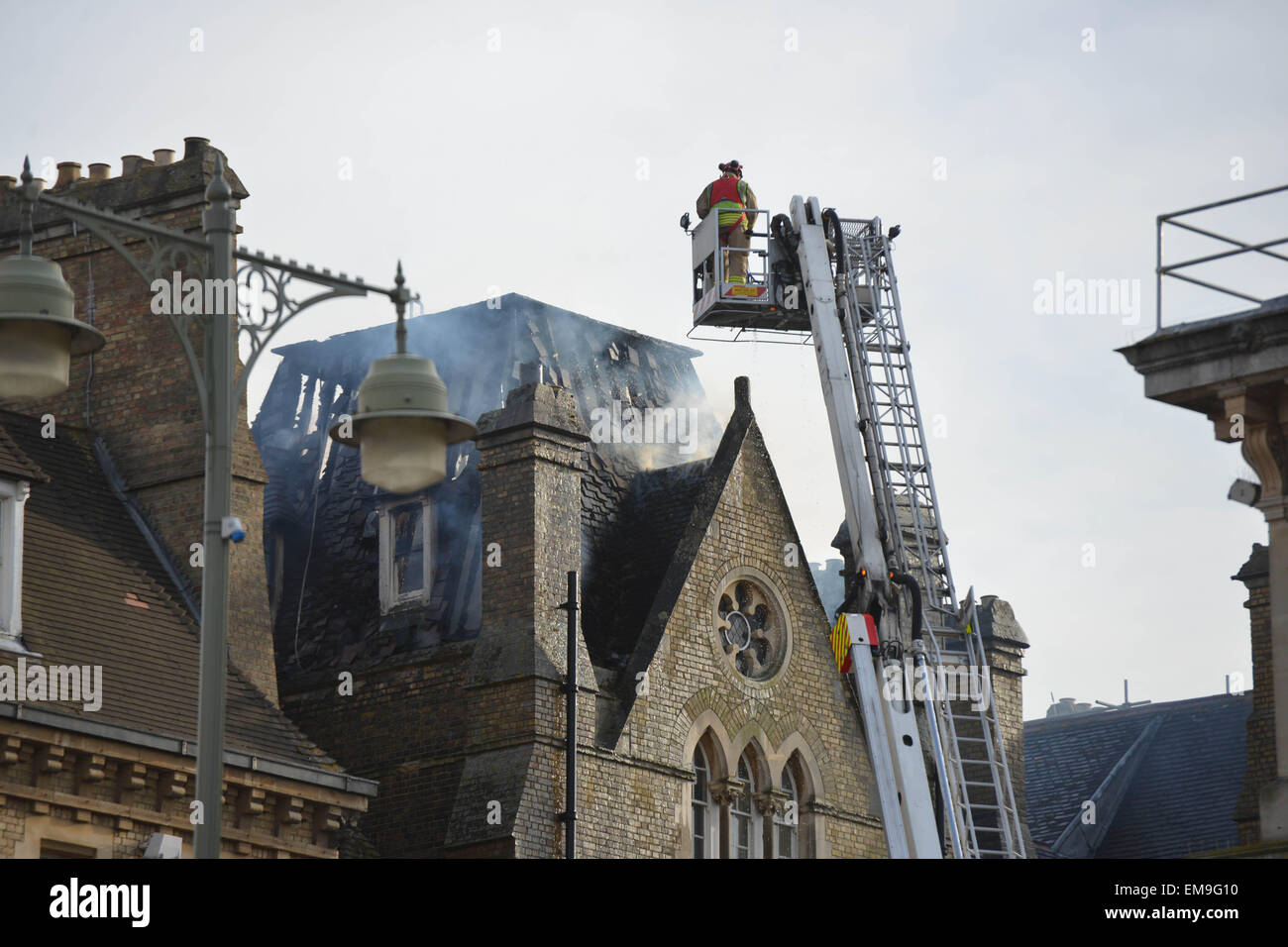 Klint janulis hi-res stock photography and images - Alamy