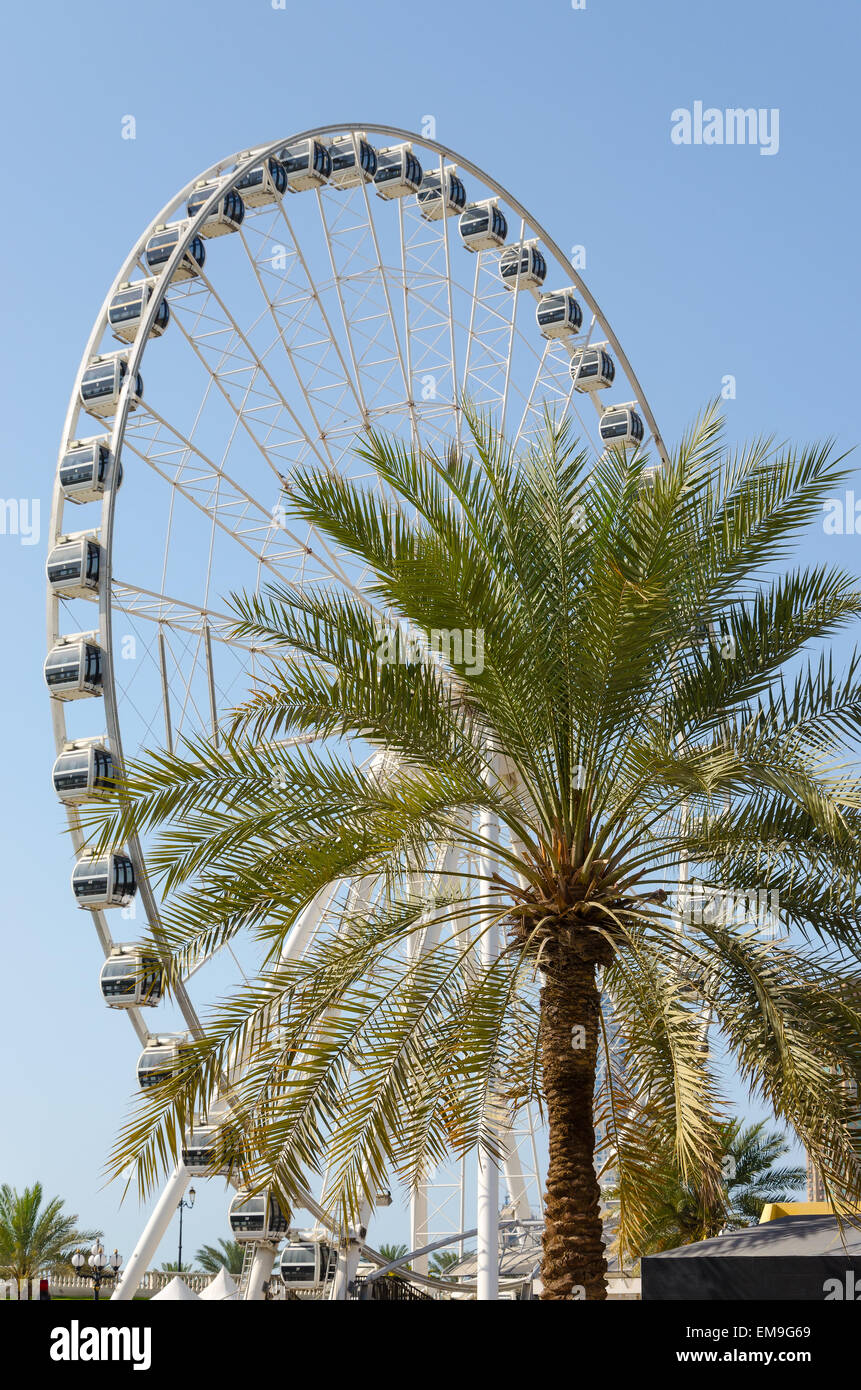 Summer ferris wheel and a palm tree, Dubai Stock Photo - Alamy