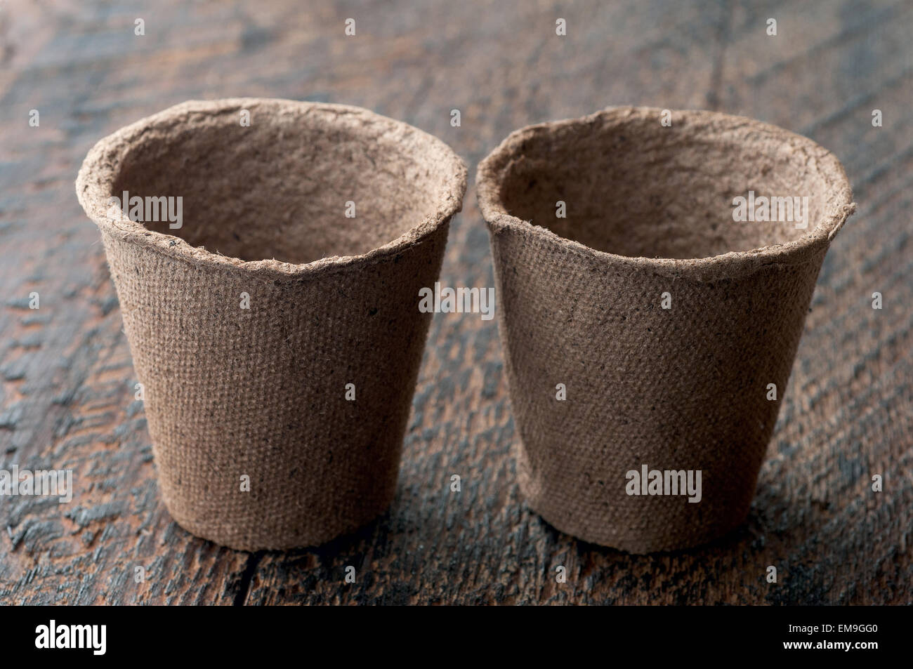 Two Peat Pots on is wooden background Stock Photo - Alamy