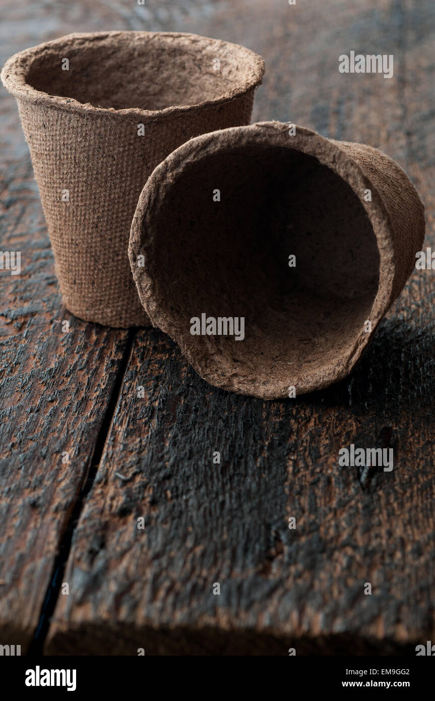 Two Peat Pots on is wooden background Stock Photo - Alamy
