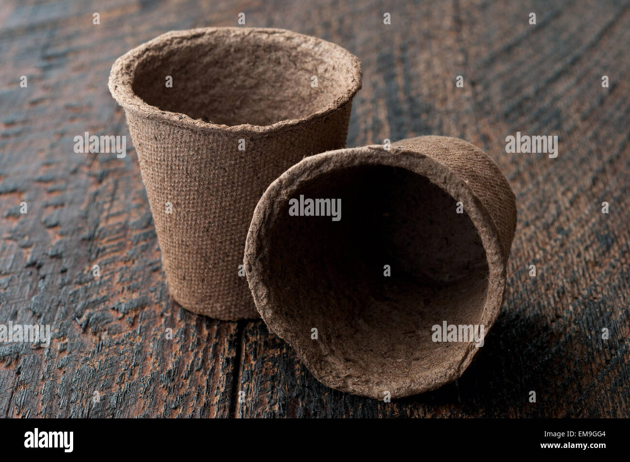 Two Peat Pots on is wooden background Stock Photo - Alamy