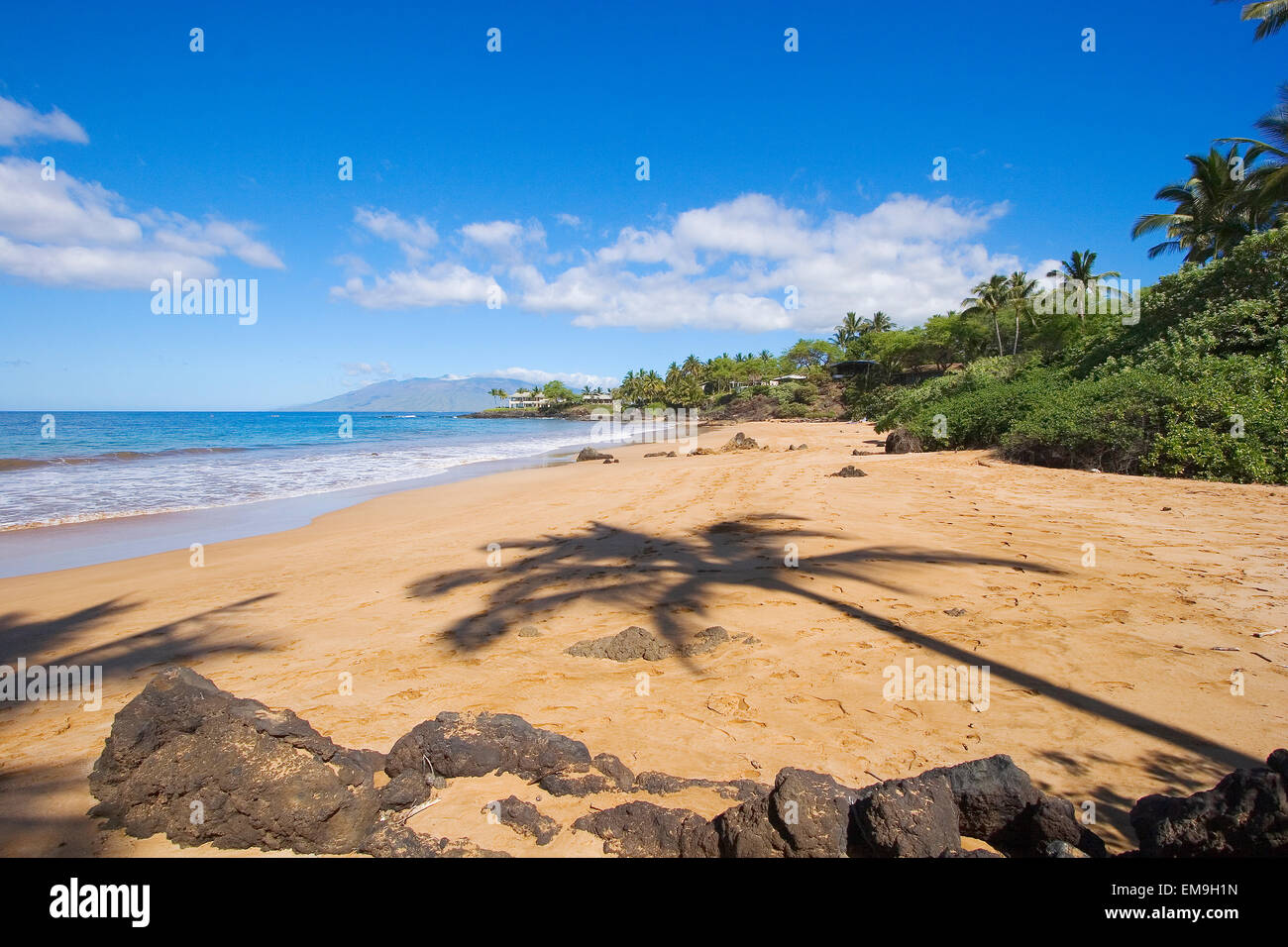 Hawaii, Maui, Makena, Chang's Beach, Shadow Of Palm Tree On Sand Stock ...