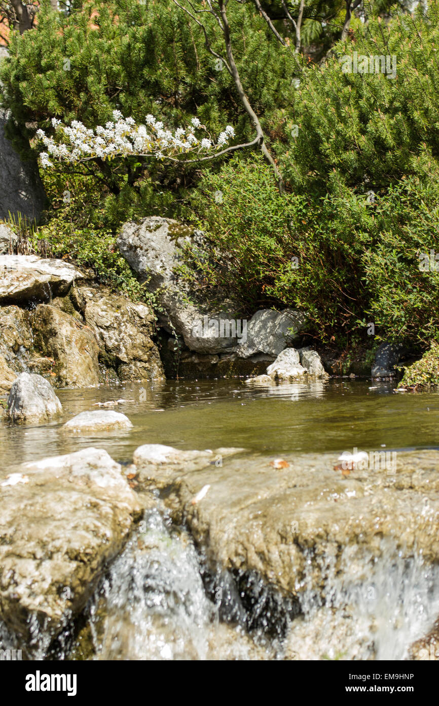 Japanese in vienna austria hi-res stock photography and images - Alamy