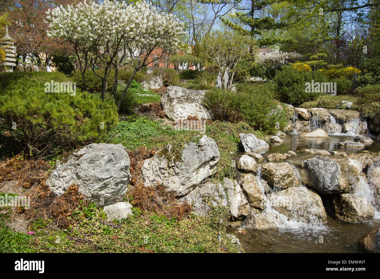 Spring aspect in Japanese park Stock Photo - Alamy