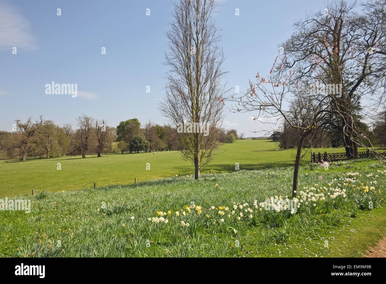 Open fields Photographed from Castle Ashby gardens UK Stock Photo - Alamy
