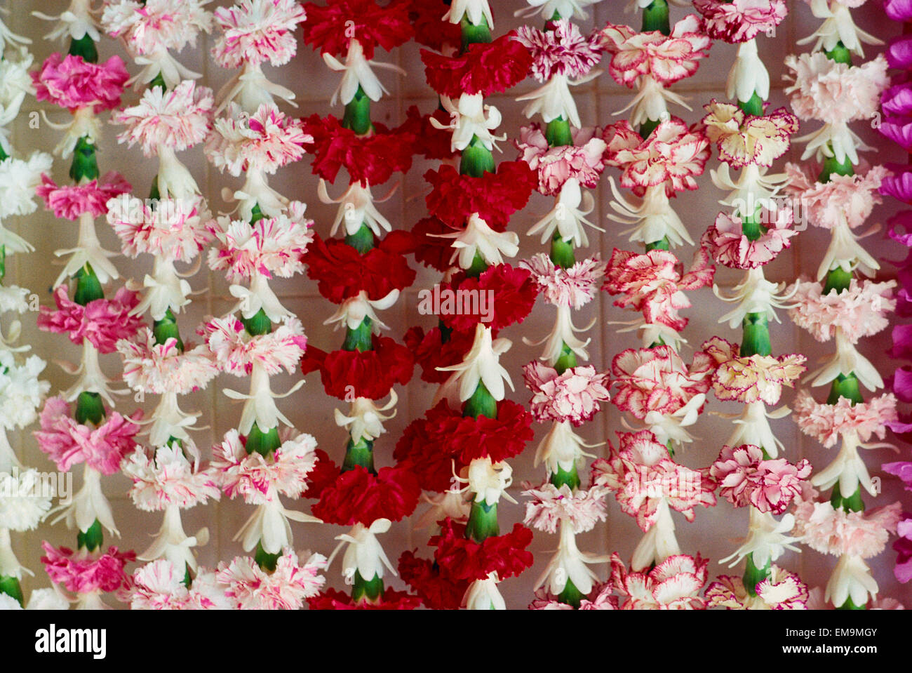 Strands of leis hi-res stock photography and images - Alamy