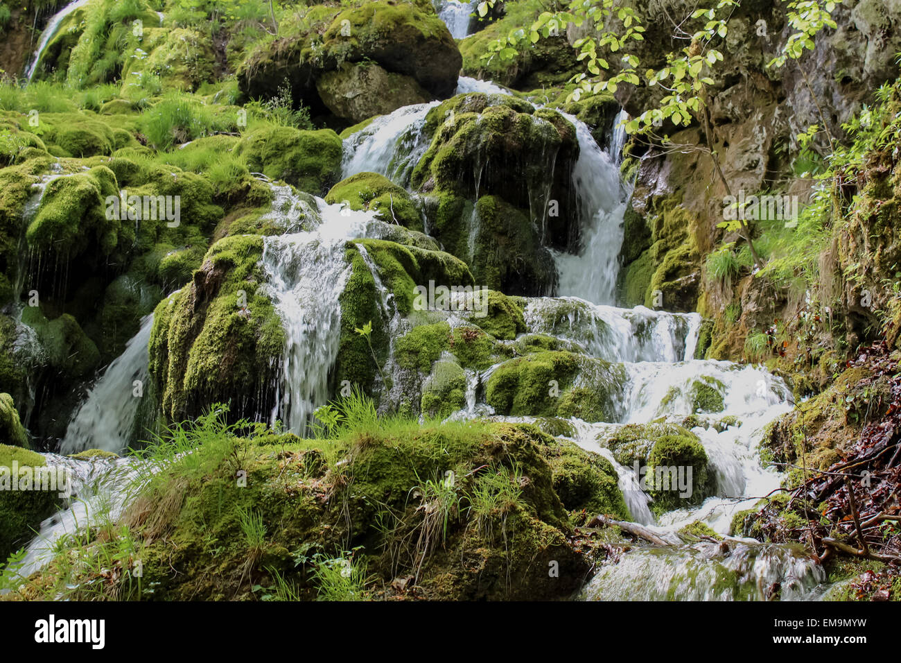Bukovica river in Montenegro Stock Photo - Alamy