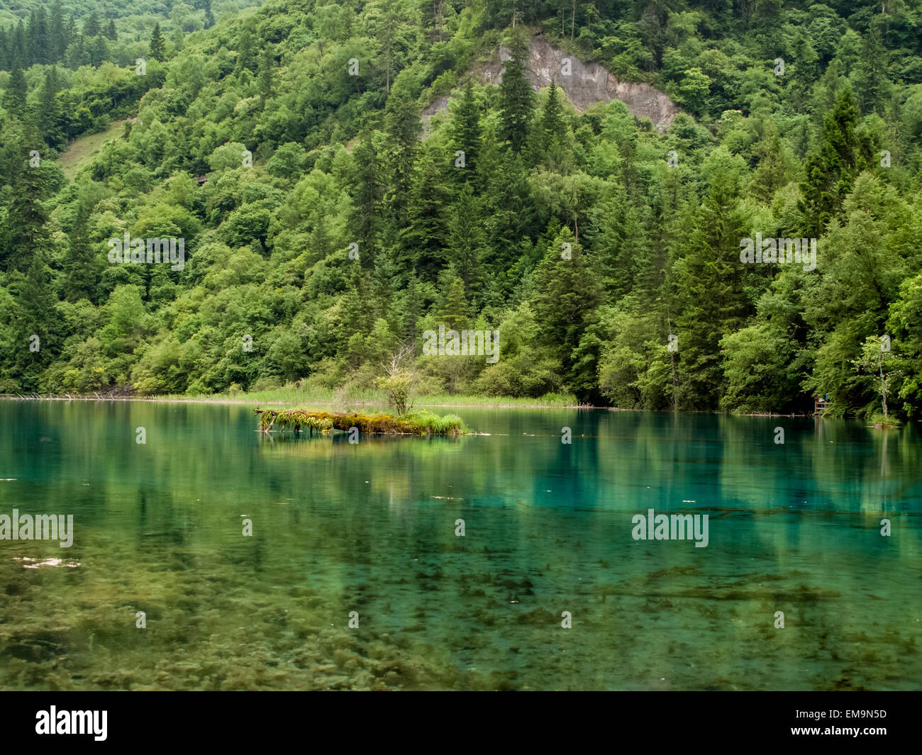 Five Flower Lake at Jiuzhaigou Valley National park in China Stock ...