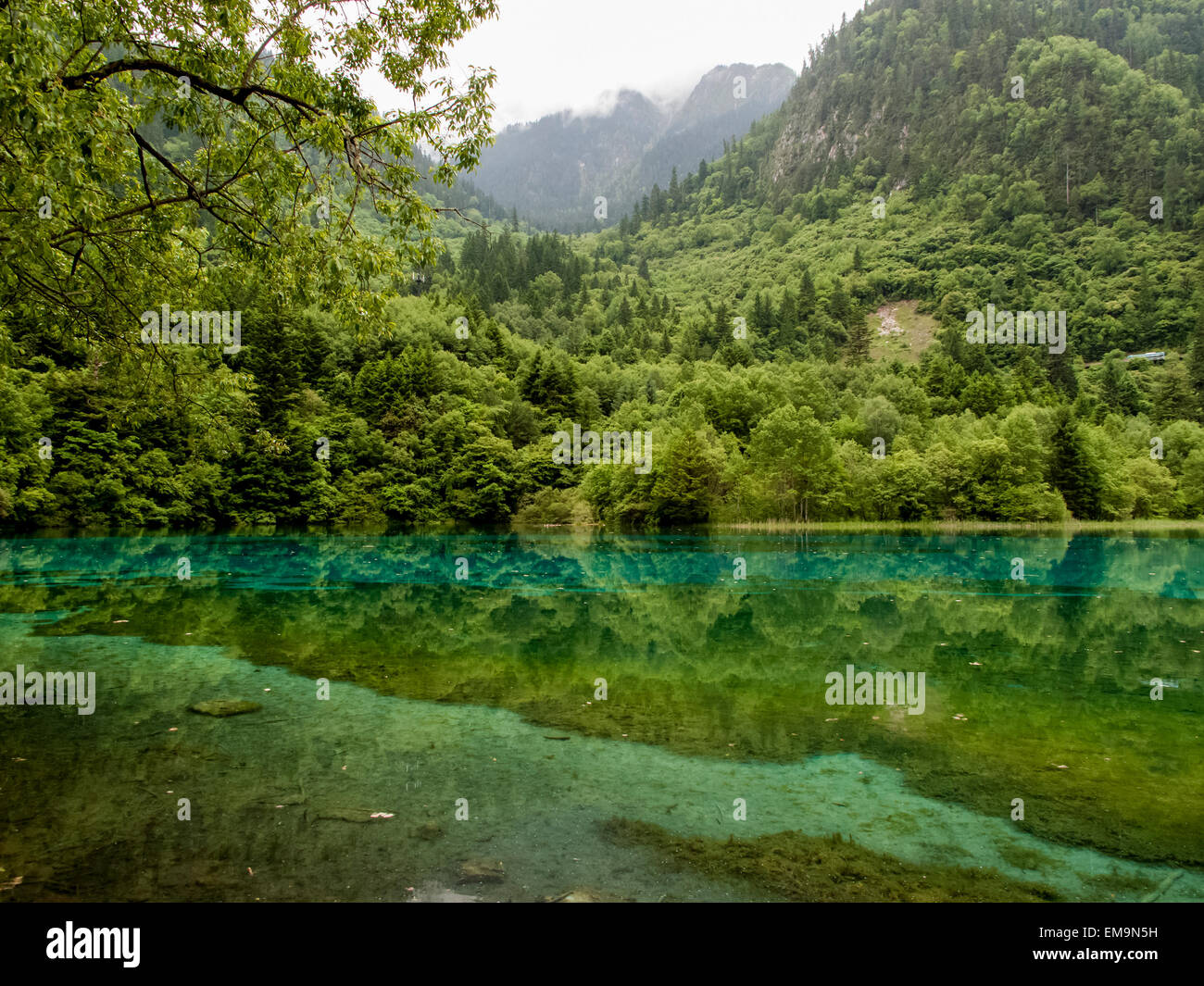 Jiuzhaigou national park five flower hi-res stock photography and ...