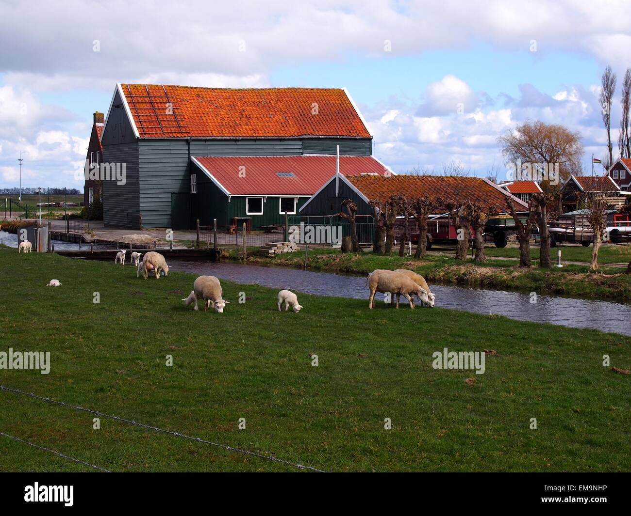 Sheep farmhouse hi-res stock photography and images - Alamy