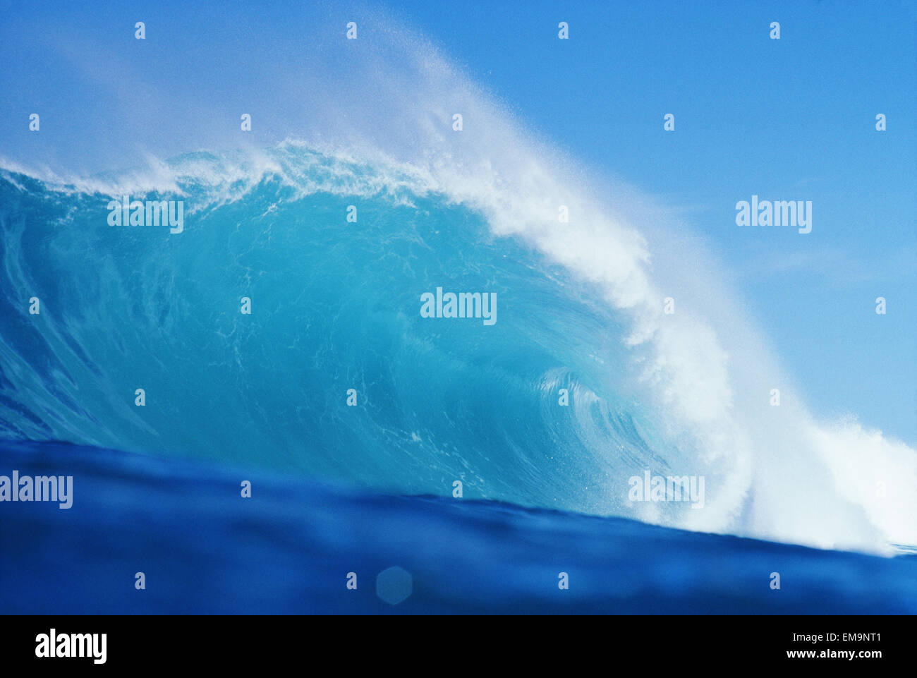 Hawaii large curling blue wave hi-res stock photography and images - Alamy