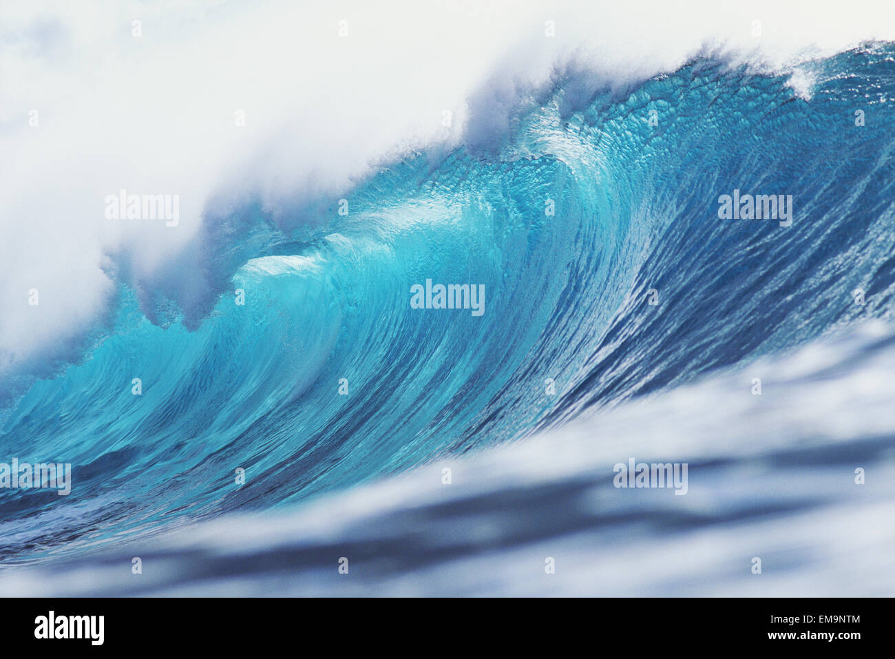 Hawaii large curling blue wave hi-res stock photography and images - Alamy