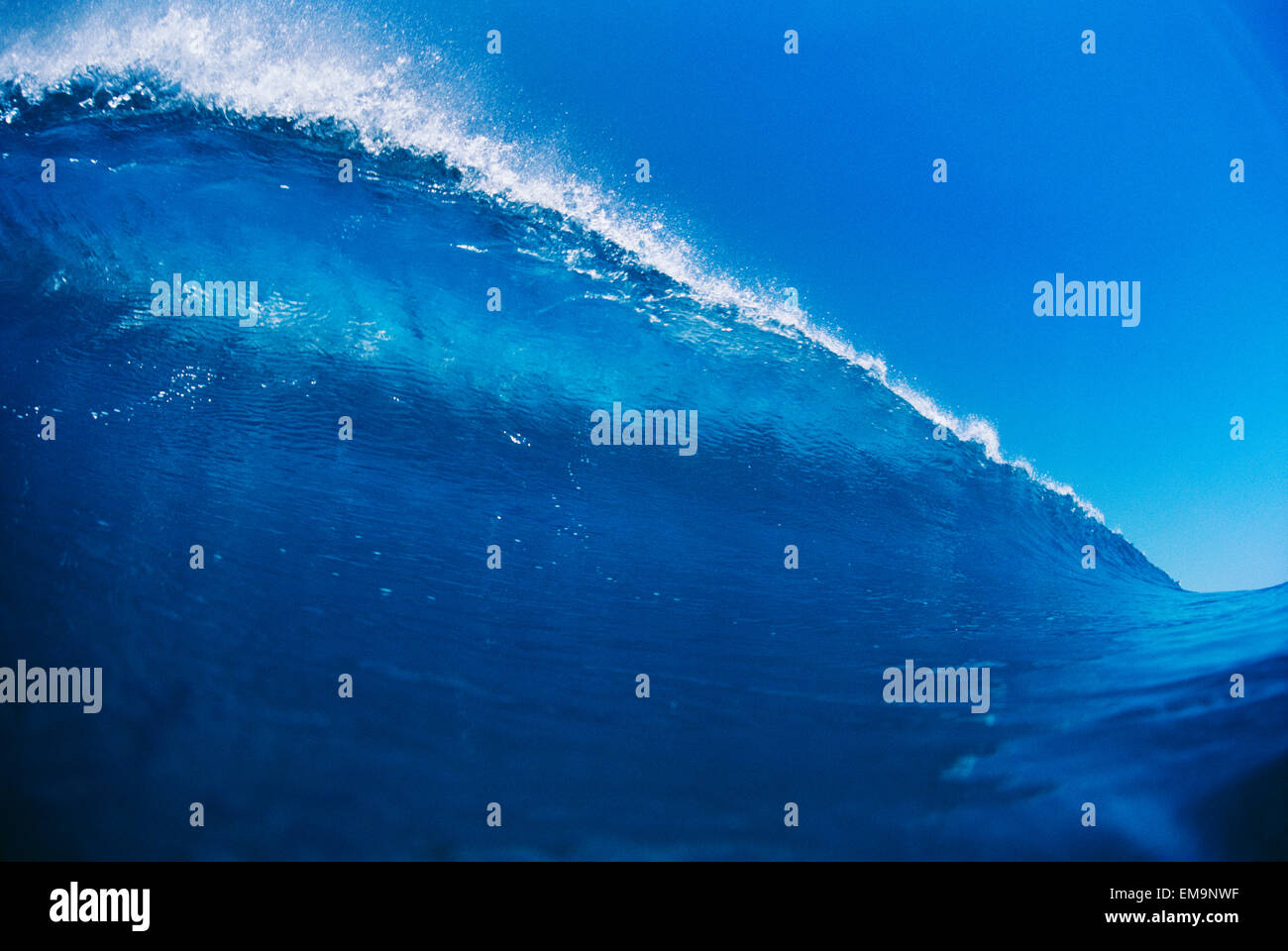 Blue Wave At It's Peak With White Wash, Blue Sky Stock Photo - Alamy