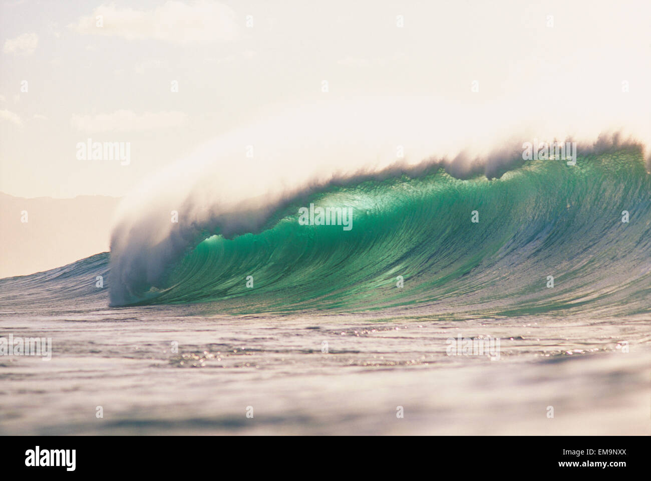 Hawaii, Clear Green Wave, White Foam Stock Photo - Alamy