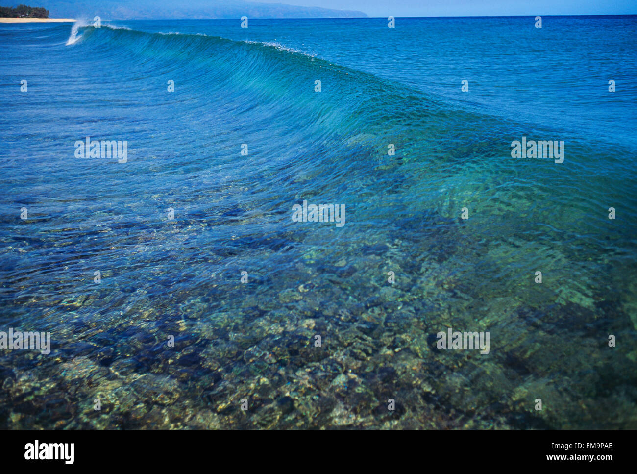 Hawaii, Wave Begins To Form Over The Reef Stock Photo - Alamy