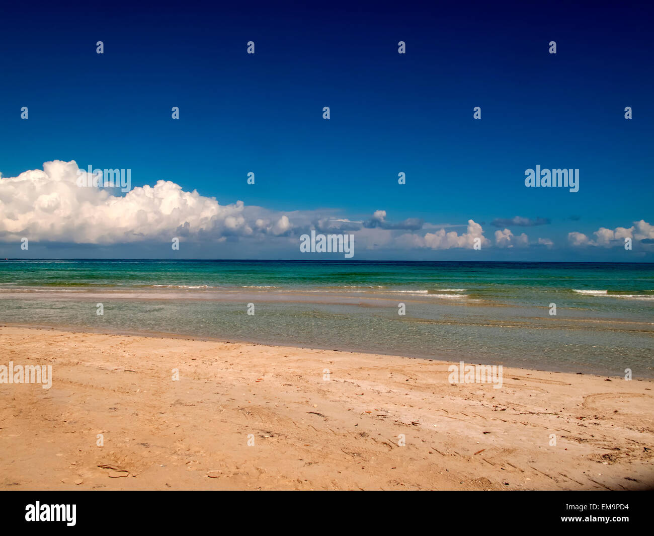 Detail of the Cuban beach Stock Photo - Alamy