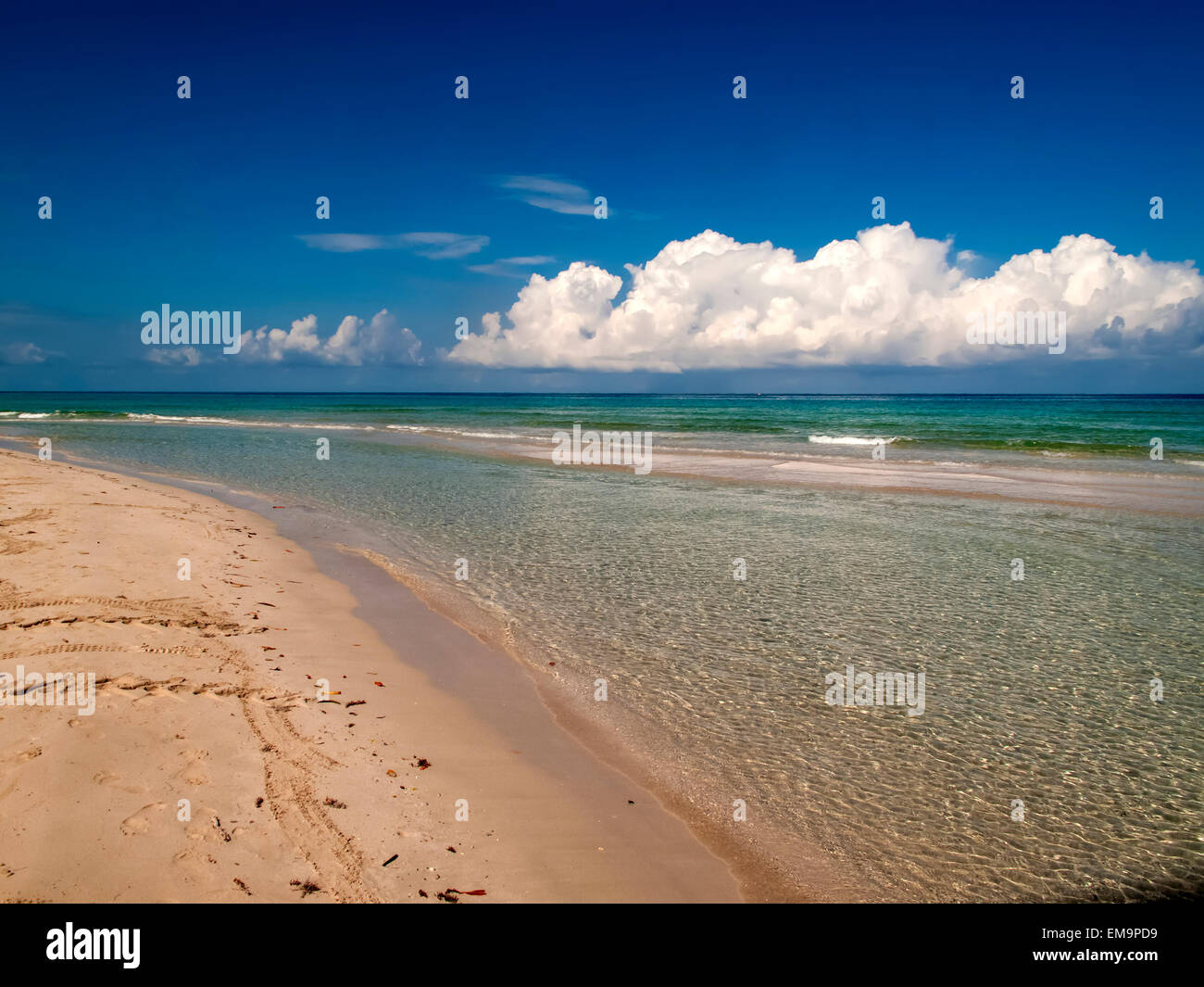Detail of the Cuban beach Stock Photo - Alamy