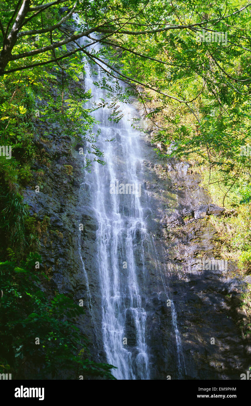 Hawaii, Oahu, Honolulu, Manoa Falls, Closeup Of Waterfall Hidden In ...