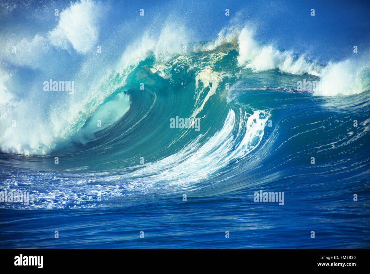 Stormy Ocean Wave Curling Over With Whitewash And A Barrel Forming ...