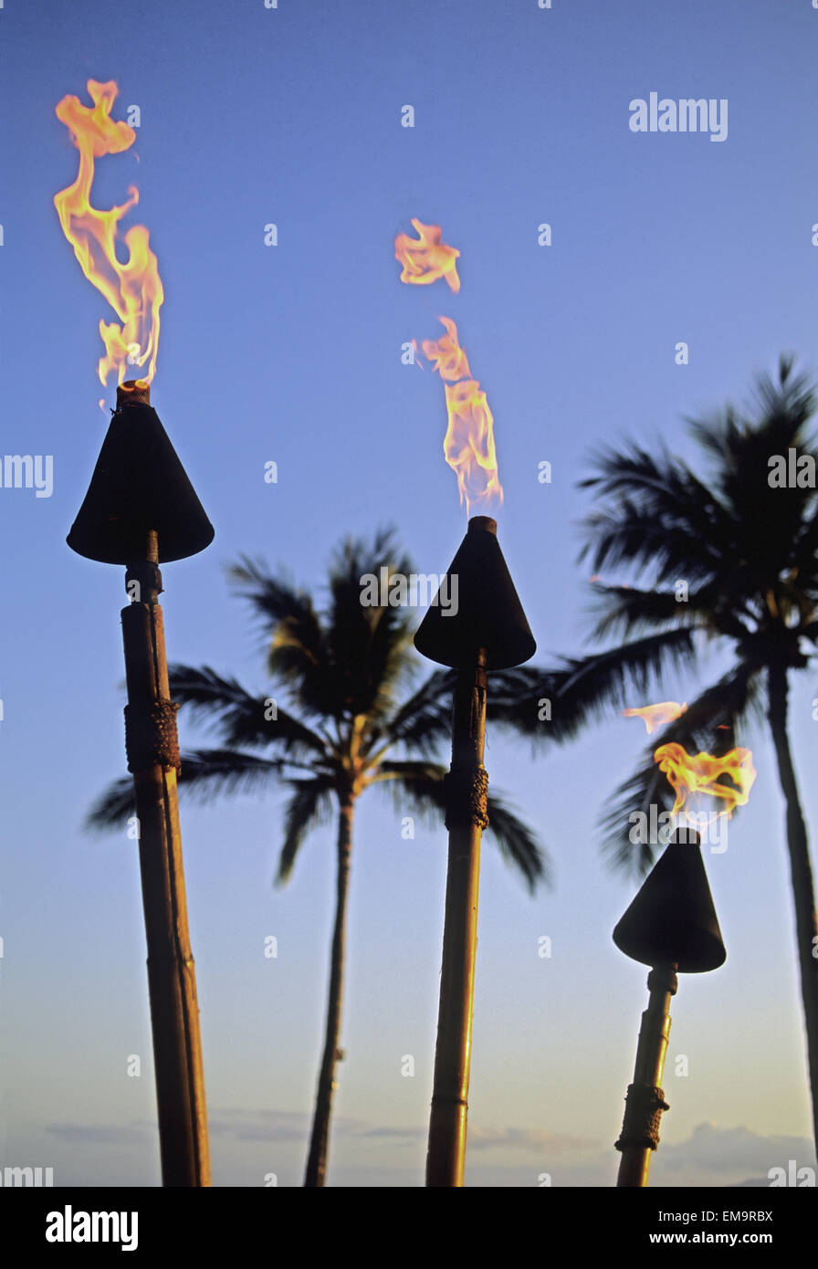 Hawaii torches palm trees hi-res stock photography and images - Alamy