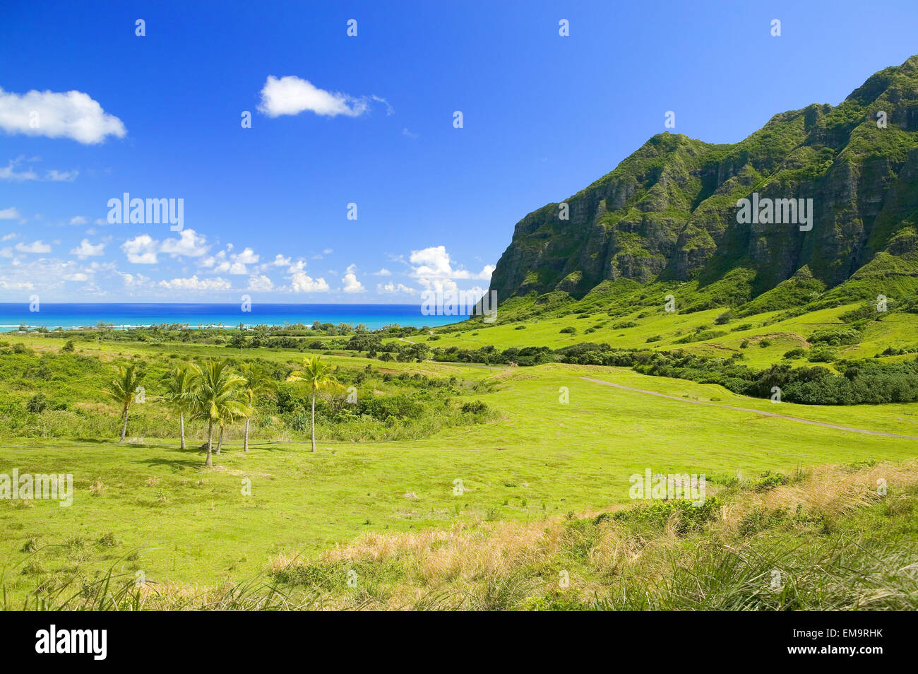 Hawaii, Oahu, Kualoa Ranch, Mountains And Ocean In Distance Stock Photo ...