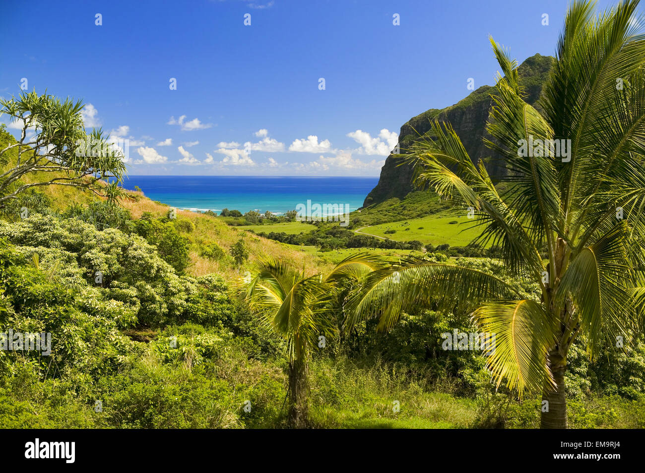 Hawaii, Oahu, Kualoa Ranch, Mountains And Ocean In Distance Stock Photo ...