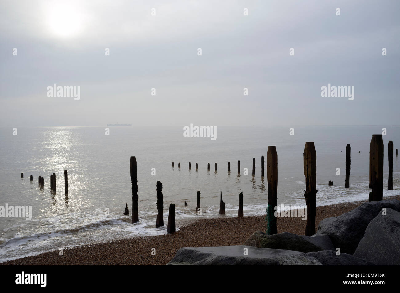 Wooden groynes, Bawdsey Ferry, Suffolk, UK Stock Photo - Alamy