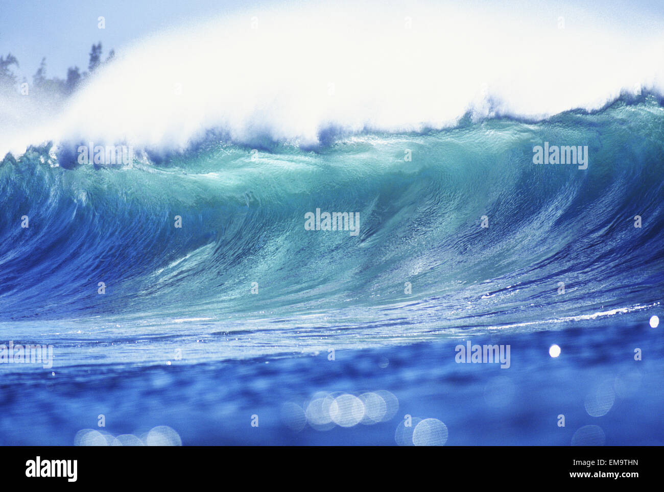 Hawaii, Oahu, North Shore, Curling Wave At World Famous Pipeline Stock ...