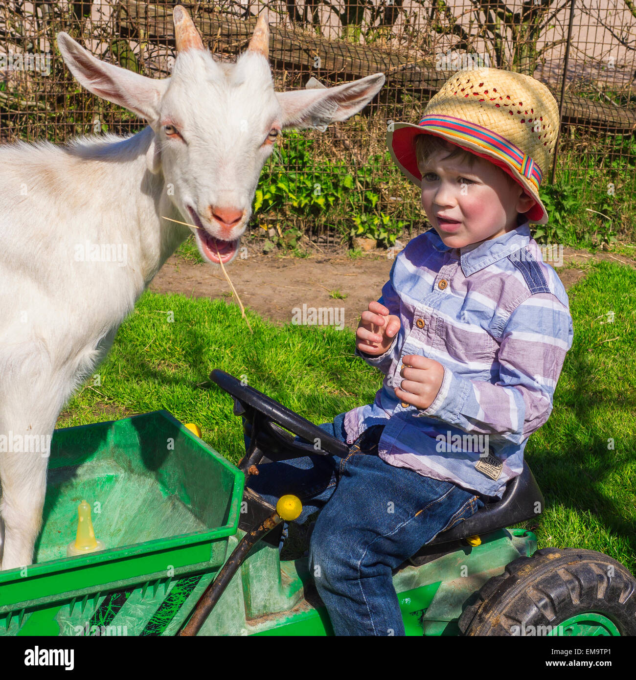 cute farm kid and a goat Stock Photo - Alamy