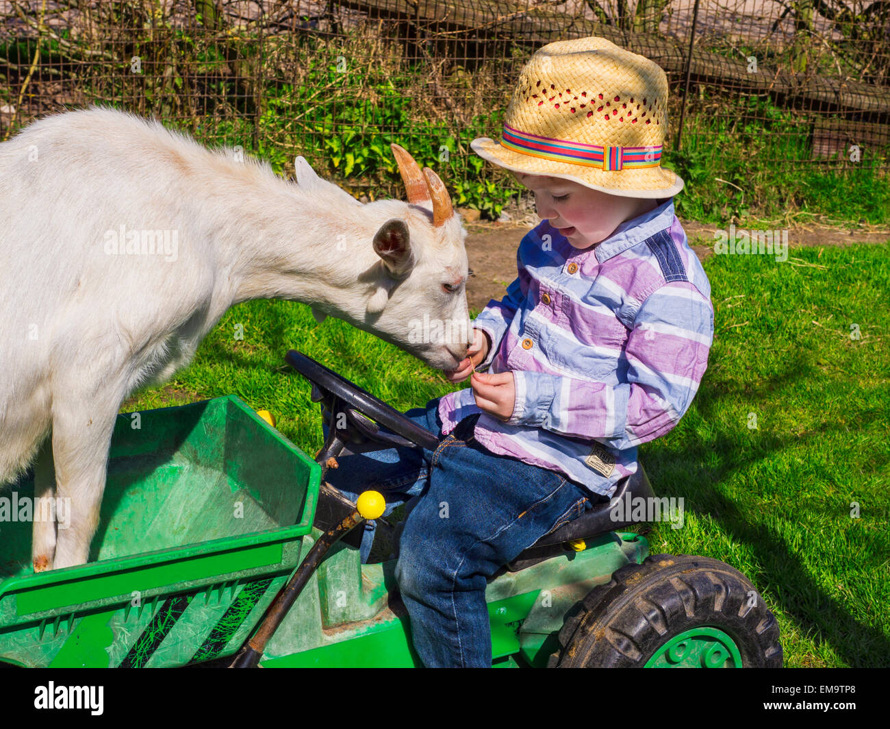 Cute farm boy and a goat Stock Photo - Alamy