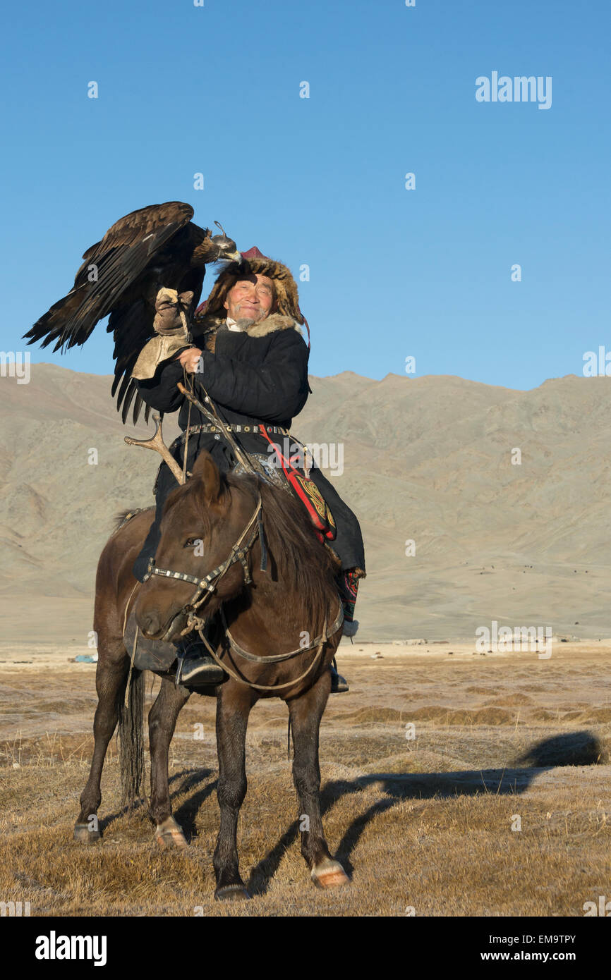 Golden Eagles Face Face High Resolution Stock Photography and Images ...