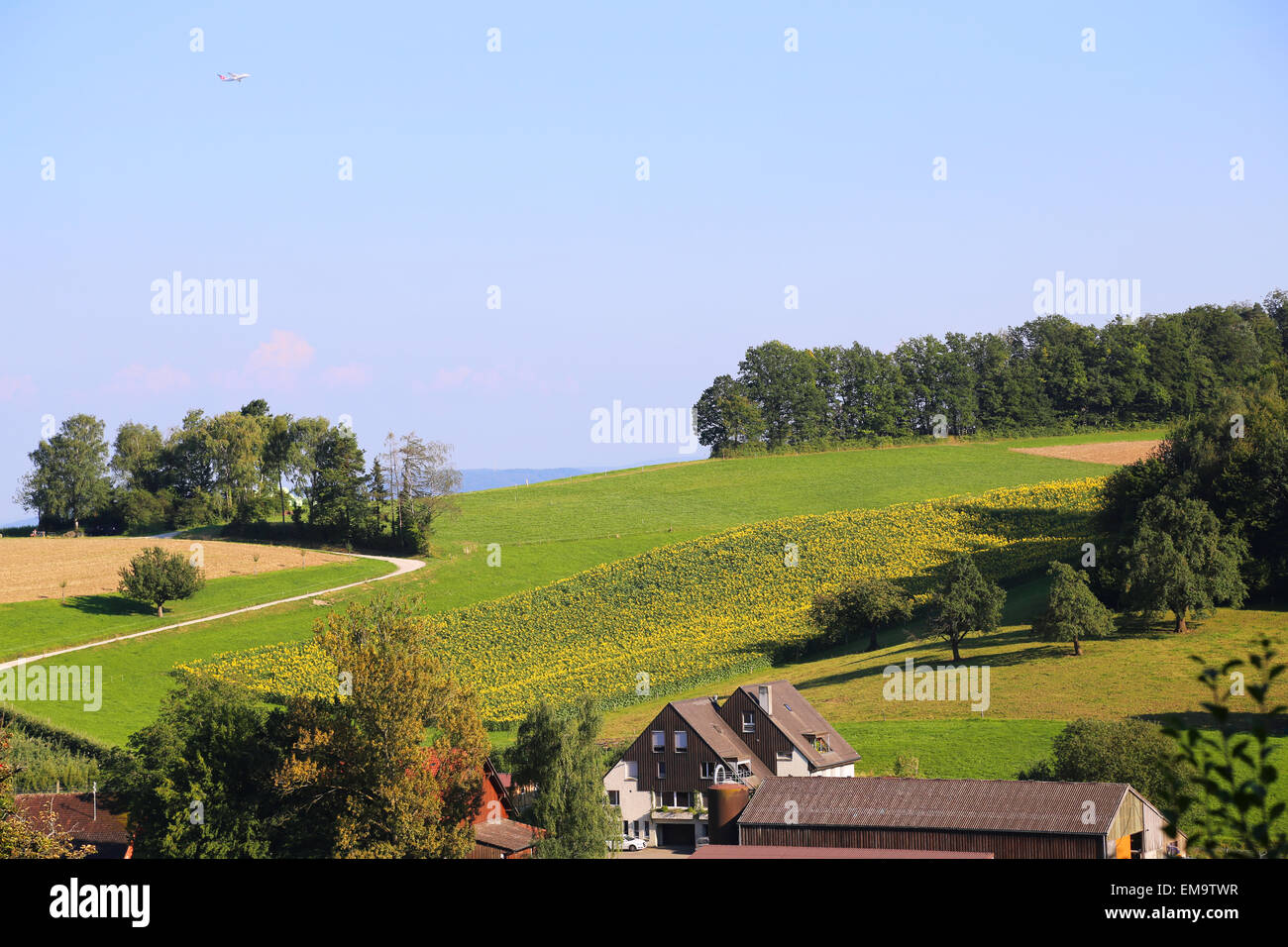 Green fields and trees in rural Switzerland Stock Photo - Alamy