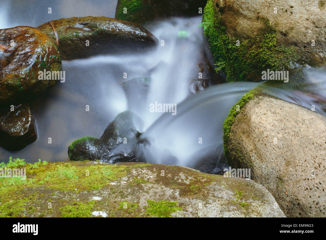 Hawaii, Oahu, Waterfall, Runoff Stream From Koolau Mountains Stock ...