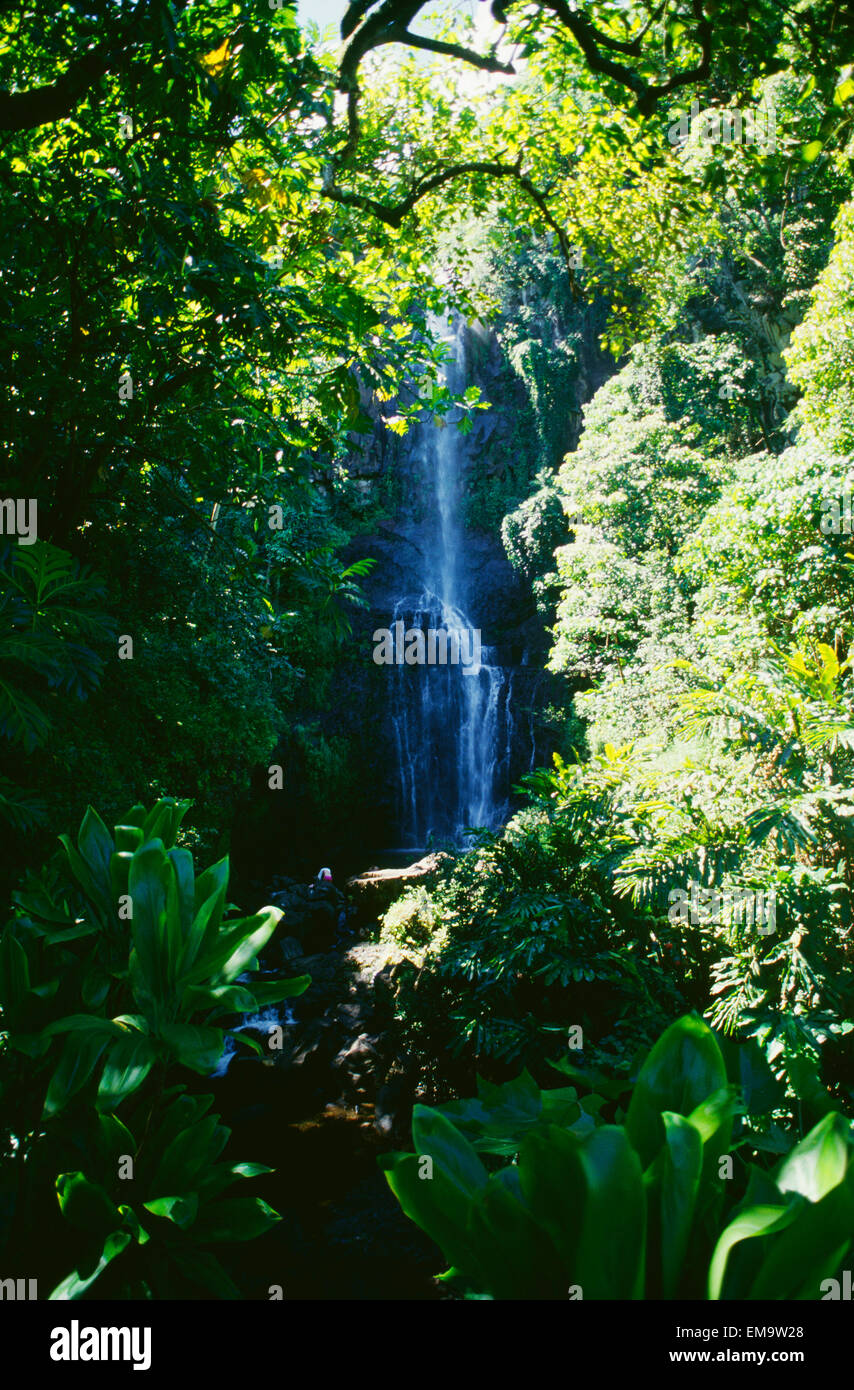 Hawaiian mountainside hi-res stock photography and images - Alamy