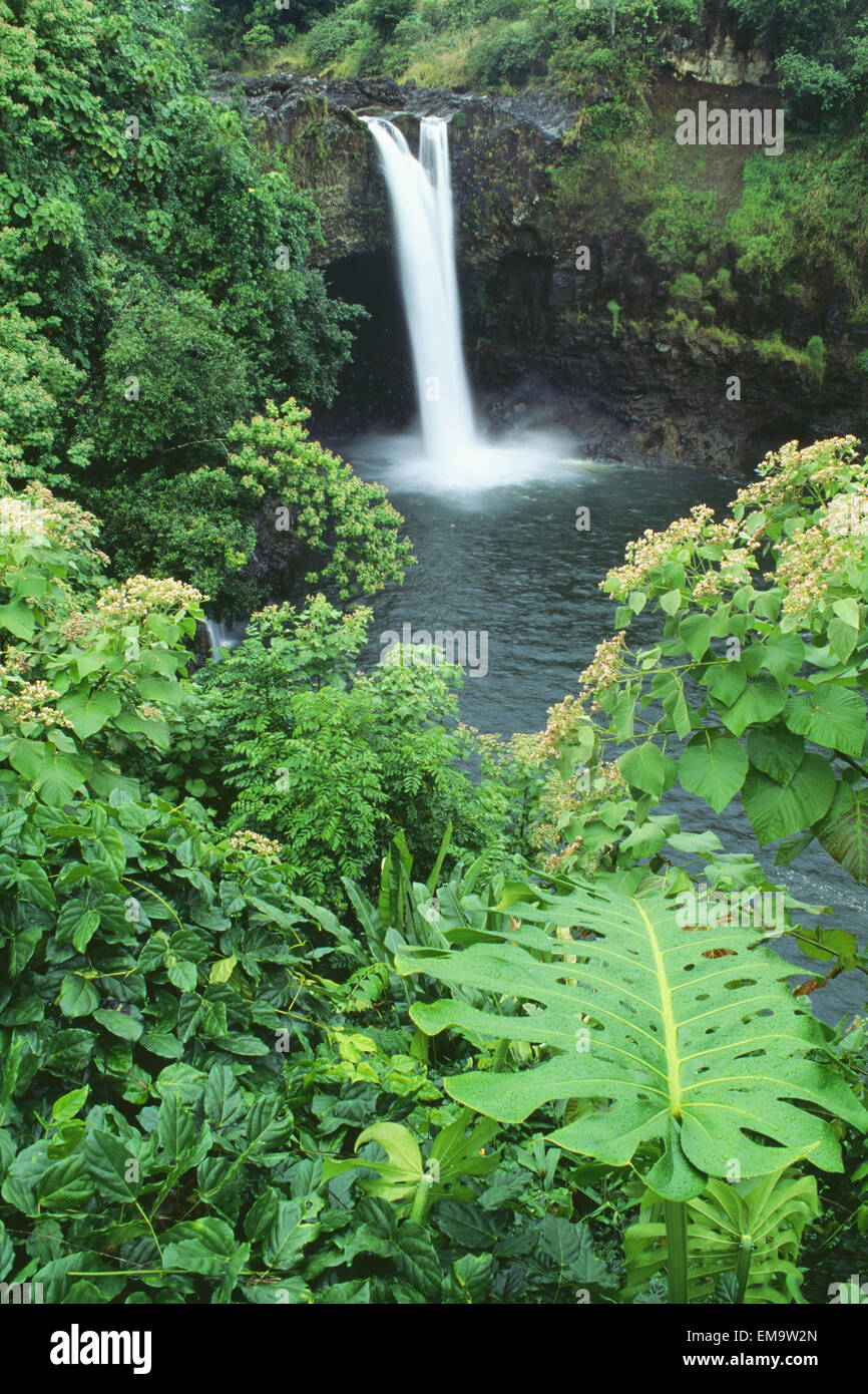 Hawaii, Big Island, Rainbow Falls, Pool Surrounded By Tropical Foliage ...